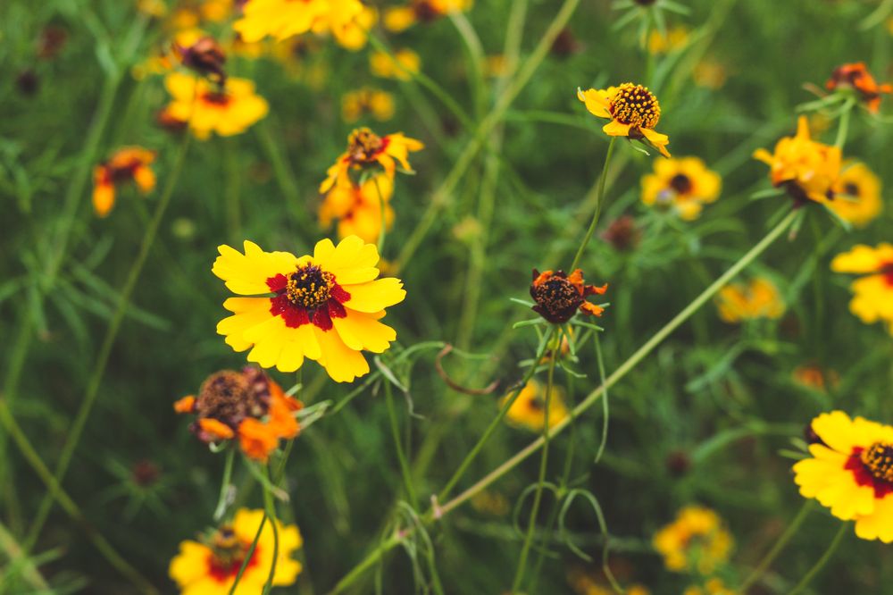 OXFORD RANCH CAMPGROUND - 18 Photos & 13 Reviews - 11380 S State Hwy 16 ...