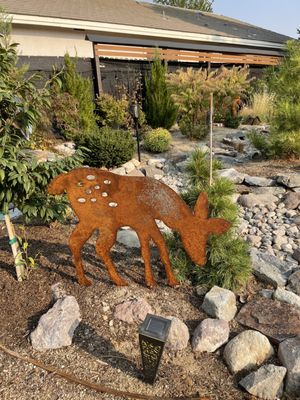 CANDY DANCE - Updated September 2024 - 145 Photos & 22 Reviews - Genoa ...