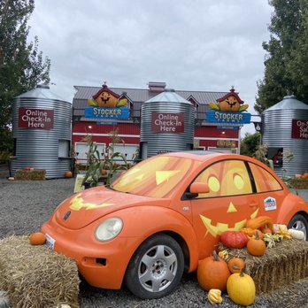 STOCKER FARMS - Updated September 2024 - 178 Photos & 116 Reviews ...