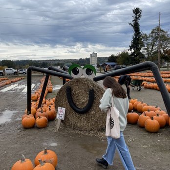 SPOONER FARMS - Updated October 2024 - 124 Photos & 82 Reviews - 9710 ...