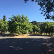 POTRERO COUNTY PARK CAMPGROUND - 75 Photos & 24 Reviews - Hiking ...