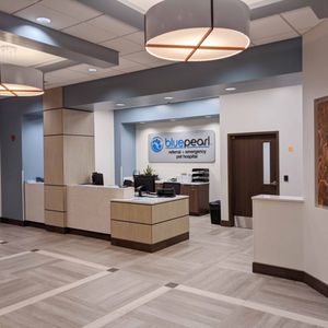 BANFIELD PET HOSPITAL - Updated September 2025 - 66 Photos & 39 Reviews ...