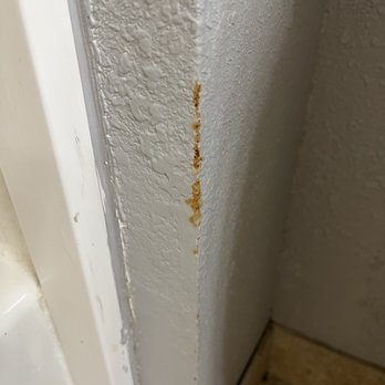 WINGATE BY WYNDHAM WARNER ROBINS - Updated December 2025 - 61 Photos ...