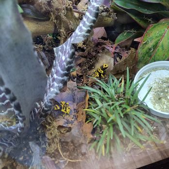 THE BIO DUDE - Updated January 2026 - 75 Photos & 45 Reviews - 15116 ...