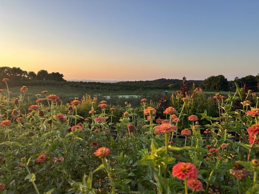 7 ACRES FARM - Updated April 2026 - 300 Matson Hill Rd, Glastonbury ...