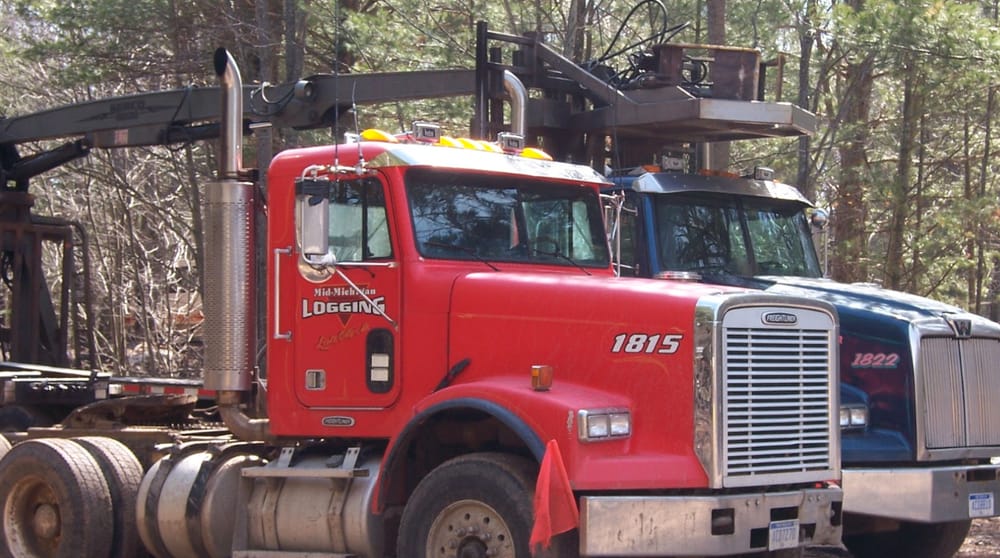 MID-MICHIGAN LOGGING - Updated May 2024 - 9620 N Nelson Rd, Lake City ...