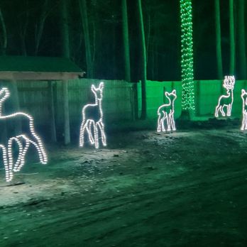 BEE CITY ZOO - Updated December 2025 - 419 Photos & 124 Reviews - 1066 ...