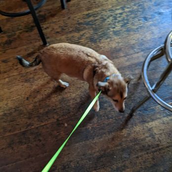 BOXING DONKEY IRISH PUB - Updated June 2024 - 337 Photos & 395 Reviews ...