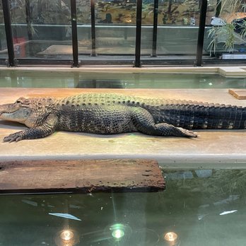 PHILLIPS PARK ZOO - Updated August 2024 - 233 Photos & 99 Reviews ...