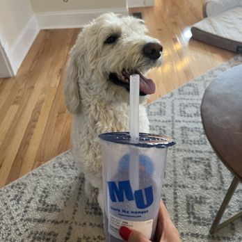 MU MU TEA - Updated March 2025 - 210 Photos & 124 Reviews - 313 SE ...