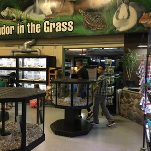 THAT FISH PLACE - THAT PET PLACE - 120 Photos & 112 Reviews - 237 ...