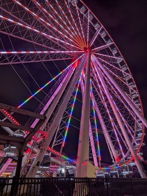 THE ST. LOUIS WHEEL - Updated June 2026 - 210 Photos & 70 Reviews - 201 ...