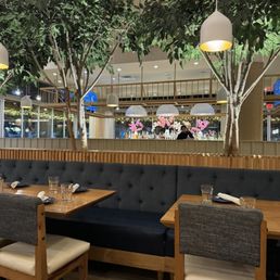 THE FINCH - Updated October 2025 - 343 Photos & 239 Reviews - 5307 East ...