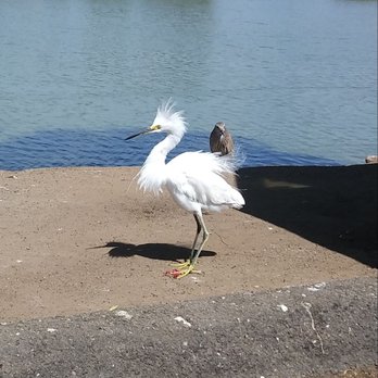 LINDO LAKE COUNTY PARK - Updated May 2024 - 283 Photos & 39 Reviews ...