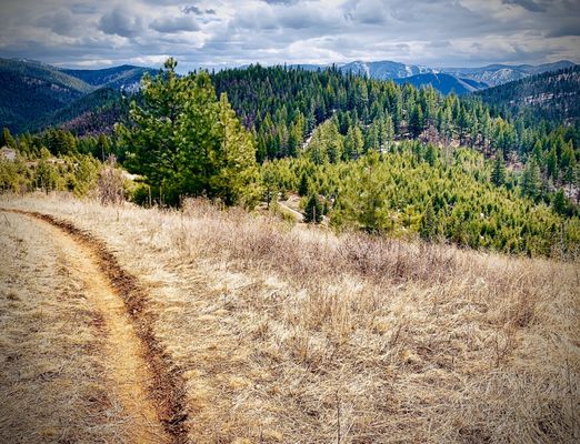 RATTLESNAKE NATIONAL RECREATION AREA AND WILDERNESS - Updated August ...