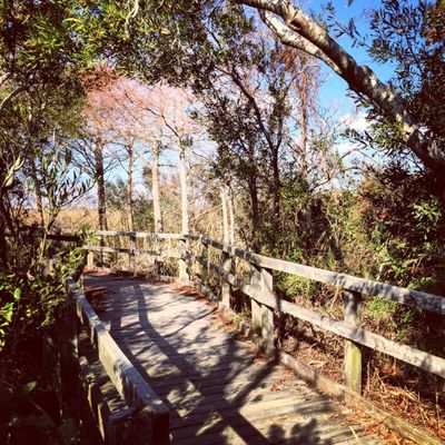 BACK BAY NATIONAL WILDLIFE - 23 Photos - 3022 New Bridge Rd, Virginia ...