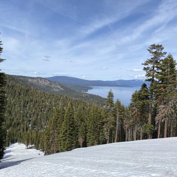 HOMEWOOD MOUNTAIN RESORT - Updated January 2026 - 232 Photos & 479 ...