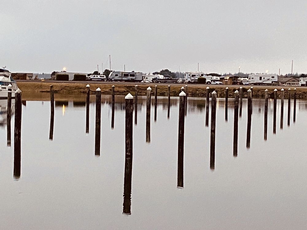 STEVE’S ATV RENTALS - OREGON DUNES - 77 Photos & 91 Reviews - 68512 ...