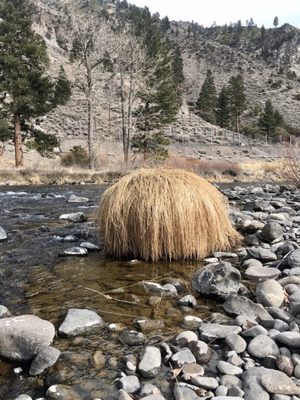 TAHOE PYRAMID BIKEWAY VERDI UPSTREAM SECTION - 20 Photos - South End Of ...