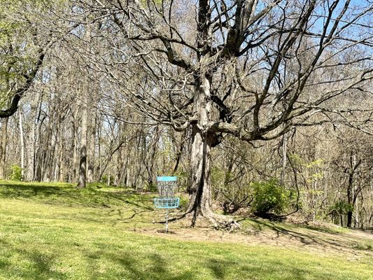 CANE RIDGE PARK - Updated October 2025 - 419 Battle Rd, Antioch ...