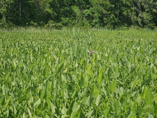 R GARLAND DODD PARK AT POINT OF ROCKS - Updated December 2025 - 89 ...