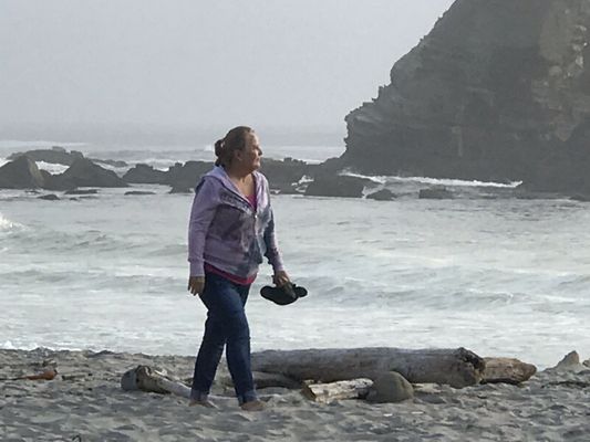 GUALALA COUNTRY INN - 77 Photos & 55 Reviews - 47975 Center St, Gualala ...