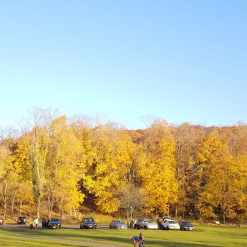 ROCKLAND LAKE STATE PARK - Updated October 2025 - 142 Photos & 62 ...