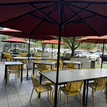 TREEBEARDS - Updated July 2025 - 246 Photos & 153 Reviews - 9655 Katy ...