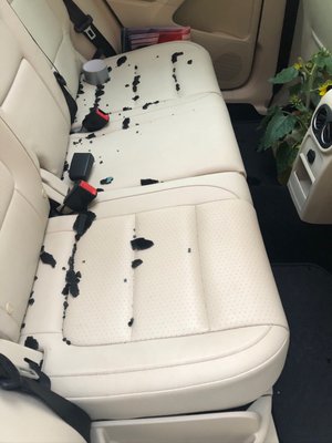 ATLANTIC AUTO GROUP - Updated October 2025 - 10 Photos & 54 Reviews ...