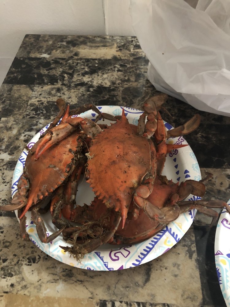 PLEASANTON’S SEAFOOD - Updated May 2024 - 14 Photos & 31 Reviews - 6738 ...