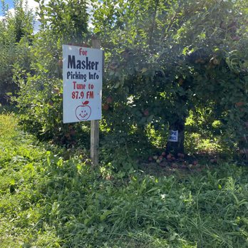 Reviews of MASKER ORCHARDS - Updated September 2024 - 344 Photos & 217 ...