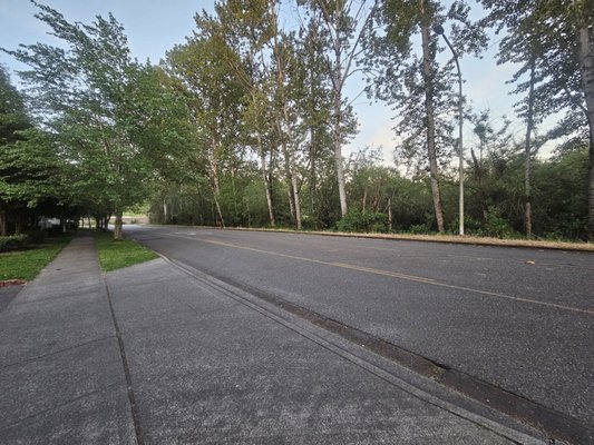 Photos of LARKSPUR LANDING RENTON - Updated August 2024 - 90 Photos ...