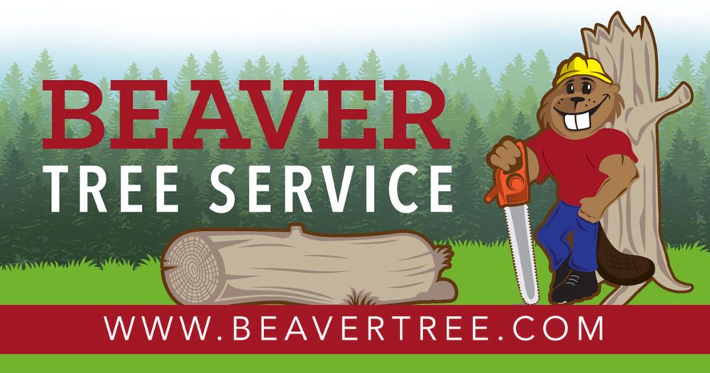 BEAVER TREE SERVICE - Updated June 2026 - 1365 Westgate Center Dr ...