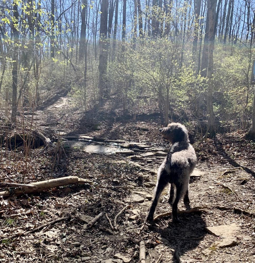 LEWIS ANIMAL HOSPITAL - Updated October 2025 - 13 Photos & 51 Reviews ...