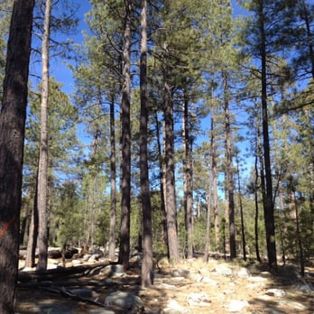 WILLOW SPRINGS LAKE - Updated August 2025 - 74 Photos & 20 Reviews ...