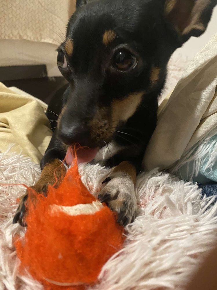 MARSHALL MIDDLE MAGNET SCHOOL - Updated December 2025 - 18 S Maryland ...