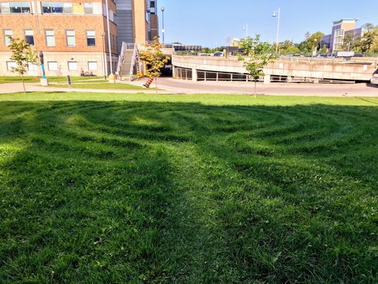 Sunnybrook Health Sciences Centre - Same Day Service Available ...