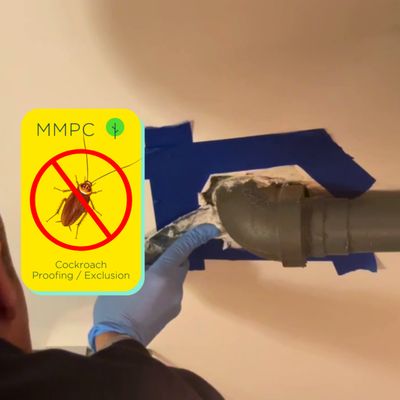 MMPC - Updated December 2025 - 88 Photos & 768 Reviews - 39-27 29th St, Long Island City, New ...