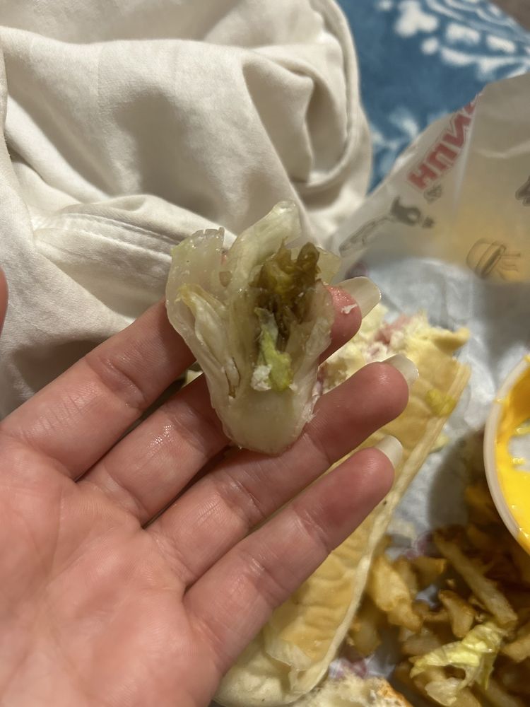 HUNGRY HOBO - Updated September 2025 - 24 Reviews - 2532 18th Ave, Rock ...