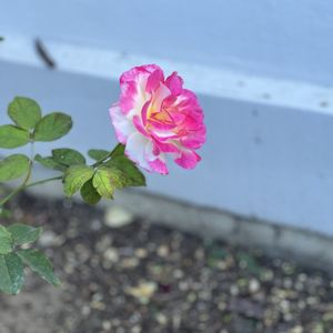 FOOTHILL RANCH LIBRARY - Updated August 2025 - 106 Photos & 36 Reviews ...