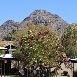 Retirement Homes - THE TERRACES OF PHOENIX - 22 Photos & 24 Reviews ...