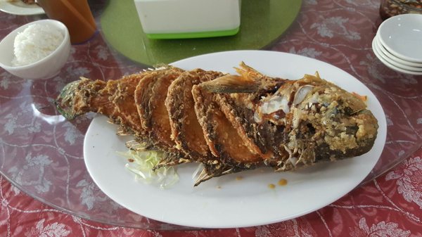 SPRING CHINESE KITCHEN LI - Updated December 2025 - 15 Photos & 14 ...