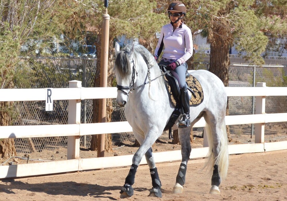 AMAZING GRACE STABLES - Updated October 2025 - 9185 S Buffalo Dr, Las ...