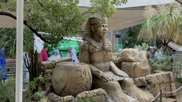 REVENGE OF THE MUMMY - THE RIDE - 200 Photos & 167 Reviews - 100 ...