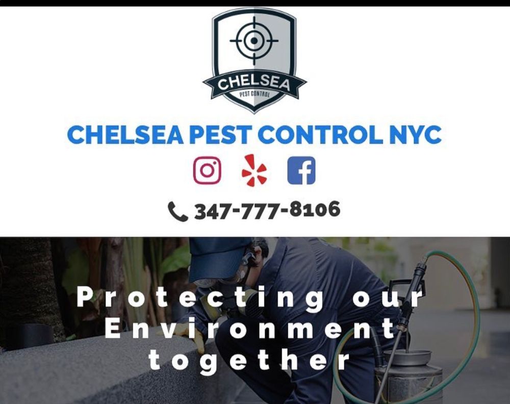 CHELSEA PEST CONTROL - Updated July 2024 - 12 Photos & 106 Reviews ...