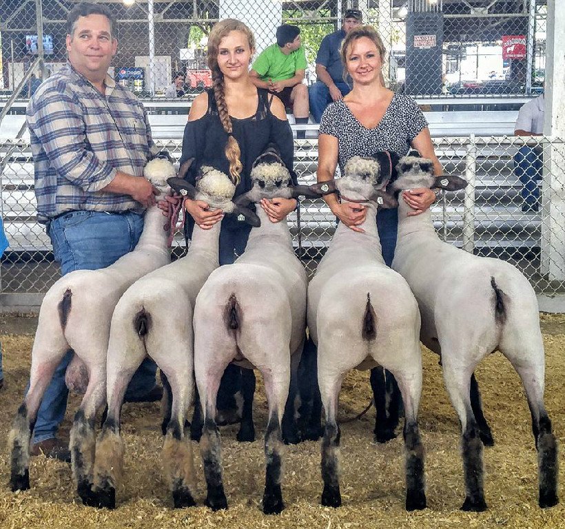 SUGAR RIDGE RANCH - Viroqua, WI - Yelp