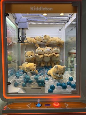 Photos of KIDDLETON - Updated August 2024 - 37 Photos & 13 Reviews ...