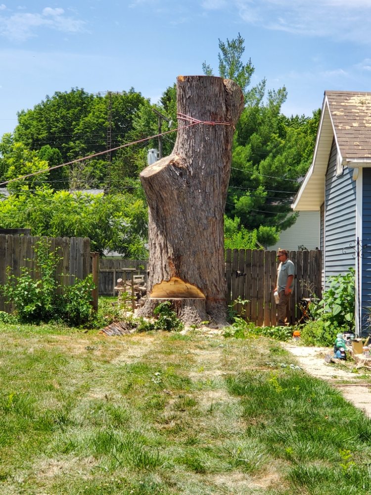 TIMBERMEN TREE SERVICE - Updated June 2025 - 22 Photos - 2381 S Kent Rd ...