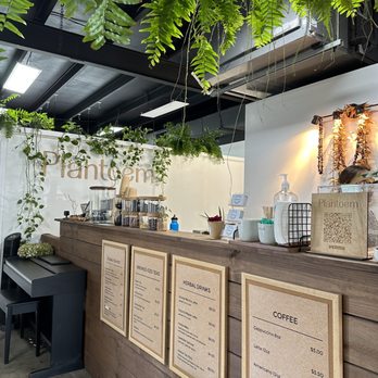 PLANTOEM - 432 Photos & 90 Reviews - 3457 Waialae Ave, Honolulu, Hawaii ...