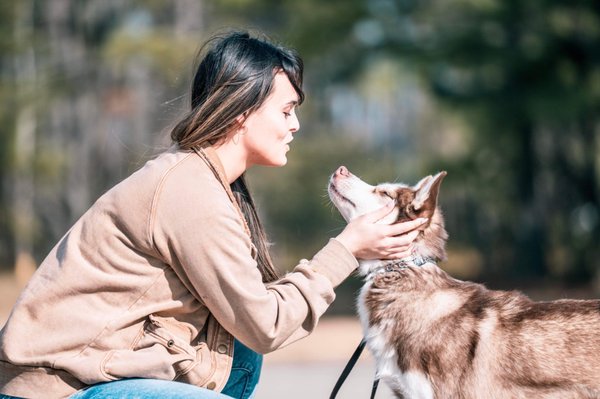 CAMP LEGACY DOGS - Updated November 2025 - 66 Photos - Jefferson City ...